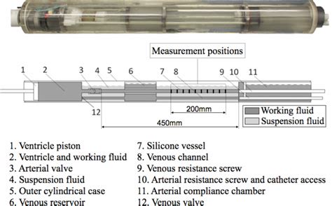 Diagram Of The Pulsatile Flow Phantom Download Scientific Diagram