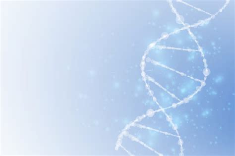 Gist Dạ Dày Khối U Mô đệm đường Tiêu Hóa Và Những điều Nên Biết