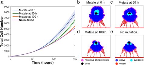 Evolutionary Dynamics Of Vascular Tumor Growth With Gene Mutations A