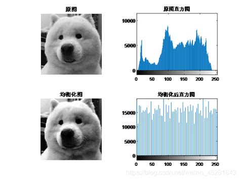 数字图像处理技术及实用 matlab实验报告及ps作业 线性扩展与对数非线性扩展各有什么特点 csdn博客
