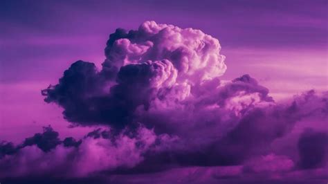 Premium Photo Dense Flowing Purple Cloud