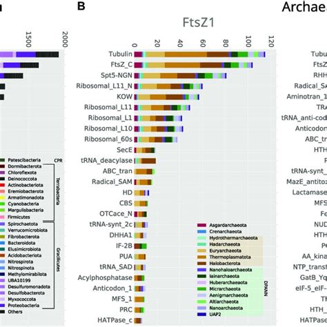 Genomic Context Analyses Of The Prokaryotic Ftsz Genes Analyses Of A