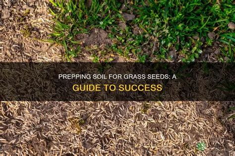 Prepping Soil For Grass Seeds A Guide To Success ShunCy