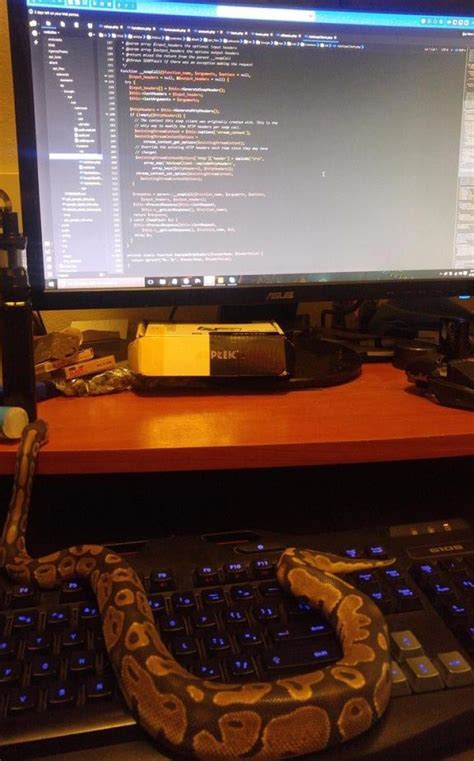 Best Python Writing Software Unityaca