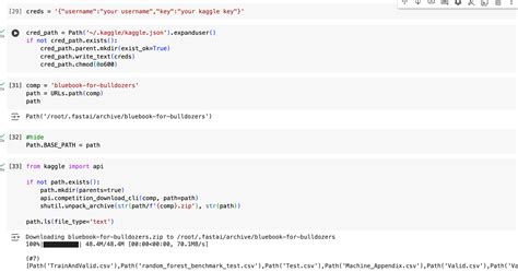 Kaggle Api Issue Chapter 9 Tabular Part 1 2022 Fastai Course Forums