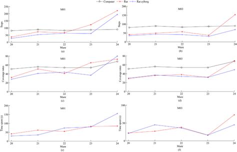 Steps Coverage Rates And Time Spent Of Maze Solving Bycomputer M01