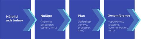 Gap Analys Ledningssystem Canea