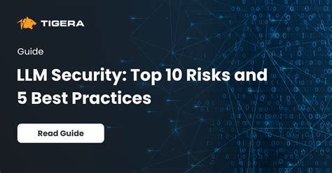 llm security top 10 risks and 5 best practices