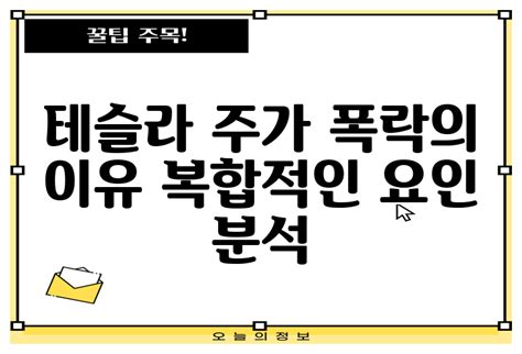 테슬라 주가 폭락 원인 분석 및 주식 투자 전략 초보 투자자를 위한 안내