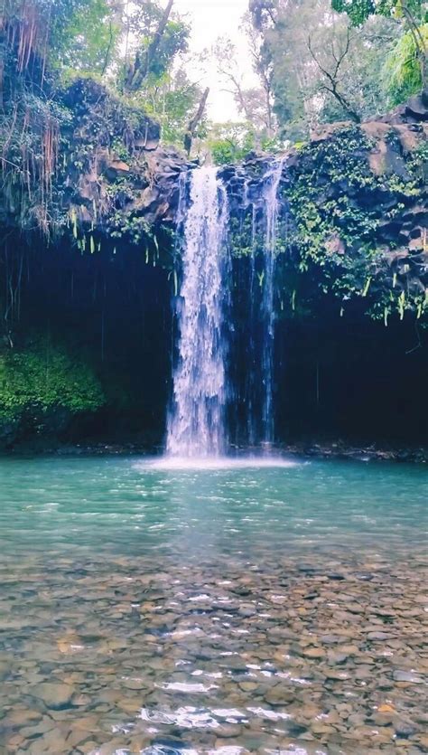 What To Know About The Twin Falls Hike To Caveman Falls On Mauis Road