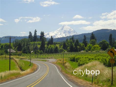 5 Best Things To Do At Hood River Fruit Loop