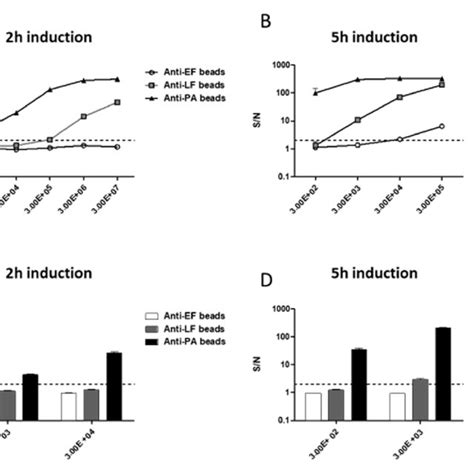 Magnetic Bead Immunoassay Based Flow Cytometry Method For The Detection Download Scientific
