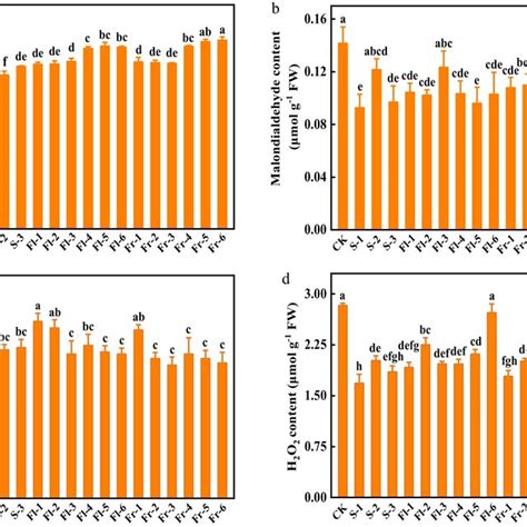Effects Of The Mixture Of Putrescine Put Melatonin Mt Proline Download Scientific Diagram