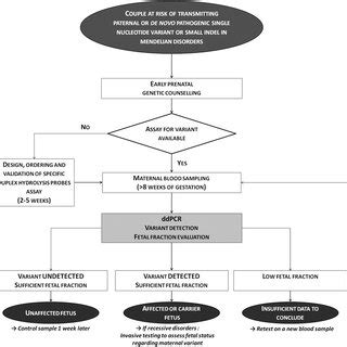 Of Our Analysis Workflow And Conclusions Download Scientific Diagram
