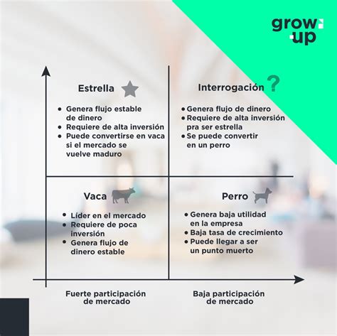 Proefex Tecnología And Proefex Tecnología And Marketing