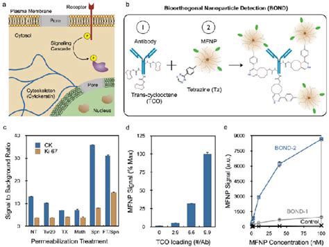 Figure 1 From Probing Intracellular Biomarkers And Mediators Of Cell Activation Using