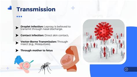Leprosy Disease Ppt 2 Pdf Topic About The Leprosy Disease Pdf Skin And Dermatology
