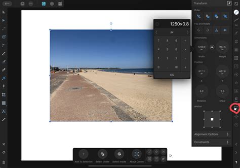 Affinity Designer How To Decrease The Image Size By A Particular Scaling Ratio IPad