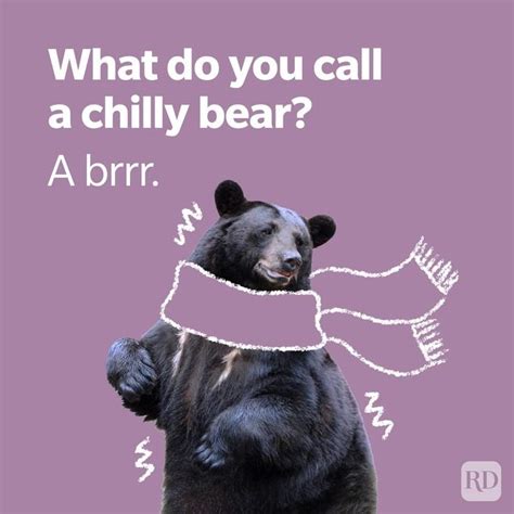 75 Bear Puns Youll Find Beary Funny The Best Bear Jokes