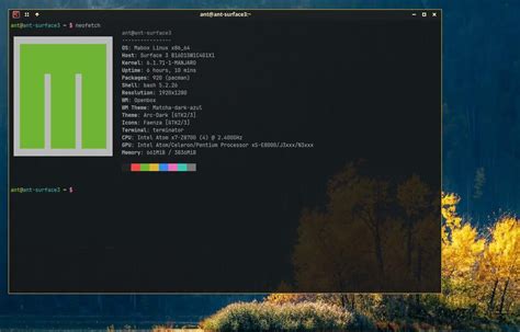 Guys Its Carnaval Show Us Your Neofetch Thats Terminal Speak For