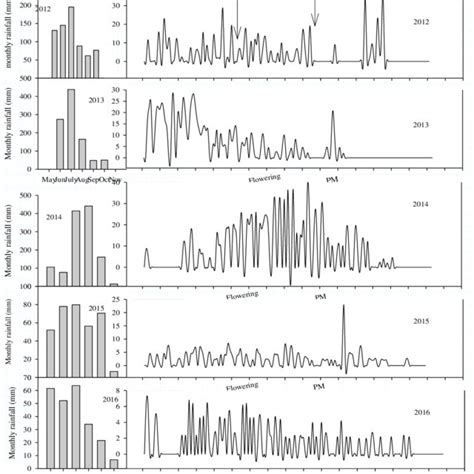 Cumulative Monthly Rainfall Bar Graph And Daily Rainfall Distribution Download Scientific