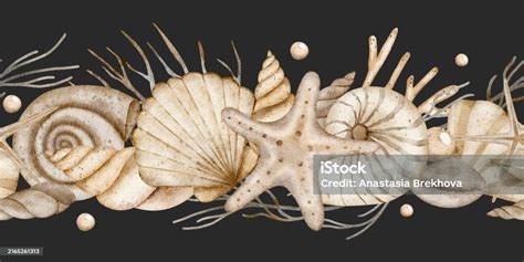 불가사리 조개 산호 진주와 완벽한 국경 배너 욕실 벽지 웹 사이트 리본 서식 파일 초대에 대 한 어두운 배경에 해상 스타일의