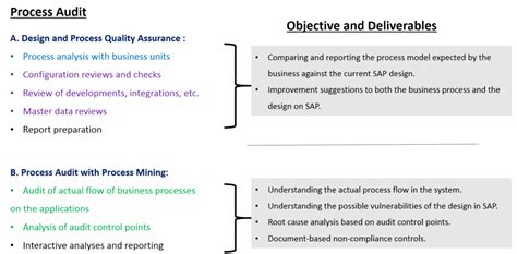 Sap Audit Services Akademidx Digital Transformation Solutions Client Side Sap Services