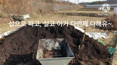 소똥거름 농민 농사 채소 쇠똥구리 밭에서살자 지푸라기 Youtube