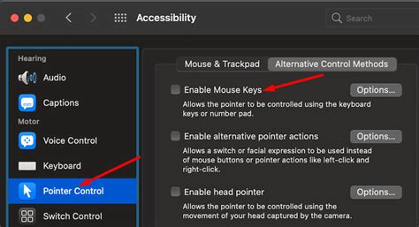Fix Macbook Keyboard Wont Let Me Type Appletoolbox