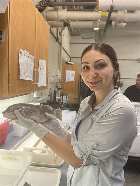 Mackenzie Stelyn On Linkedin This Summer I Had The Opportunity To