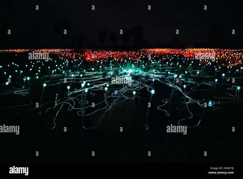 Field Of Light Display At Night With Uluru Beyond The Exhibition With