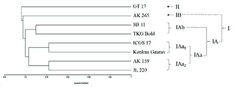 upgma based dendrogram based on jaccard s similarity coefficients
