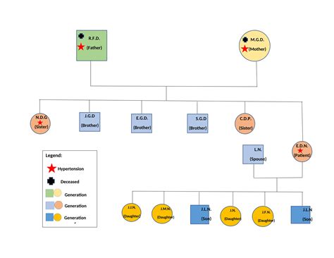 Genogram In Case Presentation In Healthcare Ppt