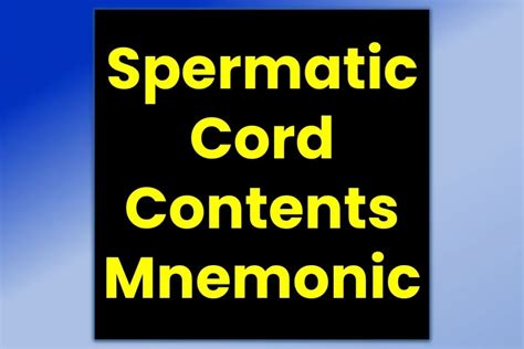 Cranial Nerves Mnemonics Dirty Funny Acronym Tricks