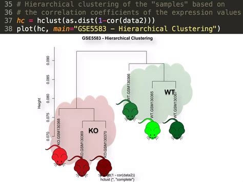 Simple Microarray Analysis Using R Pdf Genetics Science