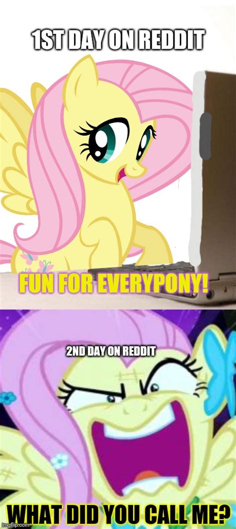 Best Memes About Mlp Fluttershy Mlp Fluttershy Memes My Xxx Hot Girl