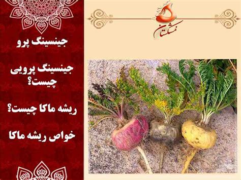 جینسینگ پرو عطاری آنلاین مشکستان