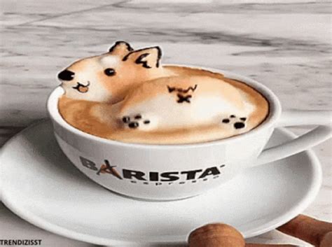 Funny Coffee S