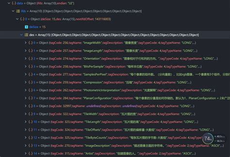 TIFF文件解析 农村的师傅的博客