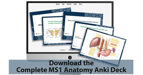 The Complete Ms1 Anatomy Anki Deck