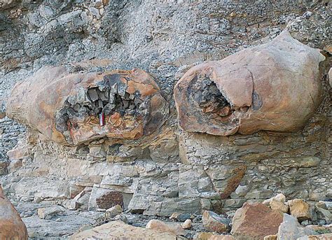 What Are Concretions At Luke Earsman Blog