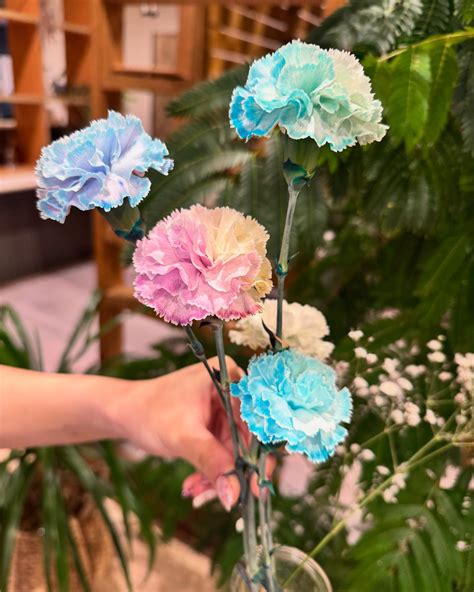 Uru ︎ 癒しの半個室／上質な技術と知識で安心／髪質改善／充電ok／タブレット貸出し／話さなくてもいい美容室 Uruhairroom