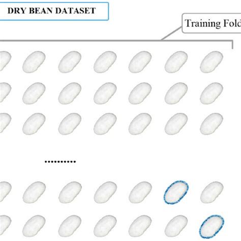 Cnn Models Classification And Features Extraction Download Scientific Diagram