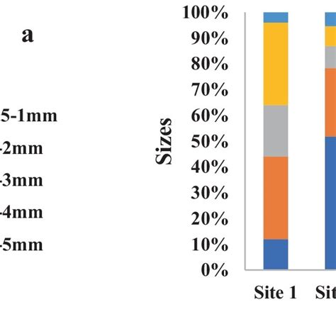 Abundance Of Microplastics Sizes In Sediments Across All Sites A And
