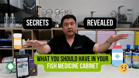 Learn About Discus Ozdiscus