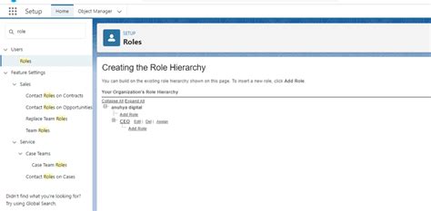 Introduction To Role Hierarchy In Salesforce Learn Salesforce With