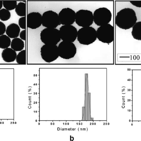 Self Assembly Of Polymer Tethered Gold Nanorods In Selective Solvents Download Scientific