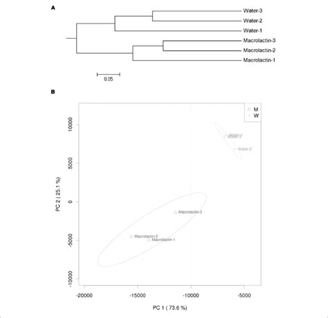 a hierarchical cluster tree constructed based on the distance
