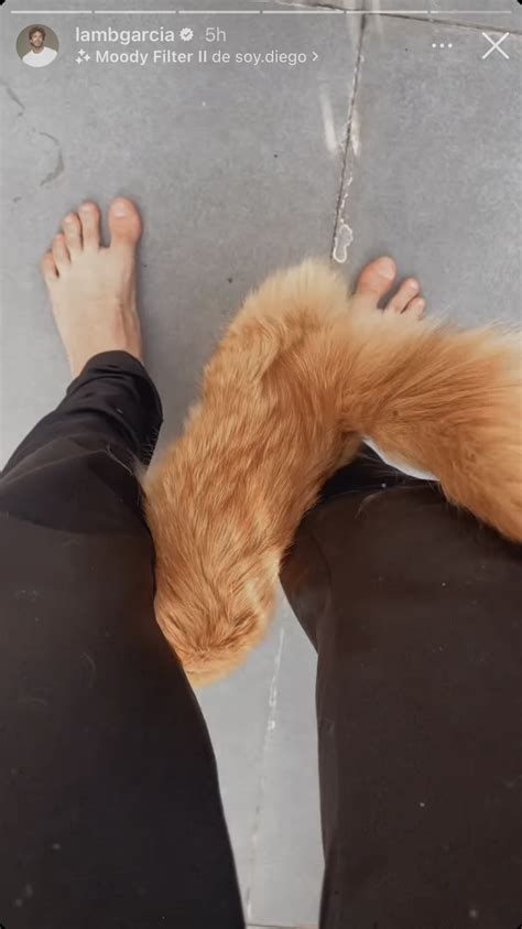 Lambda Garcías Feet