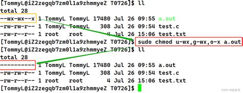 Linux文件权限管理与类型详解 Csdn博客